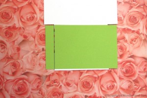 Pull Me Surprise Card